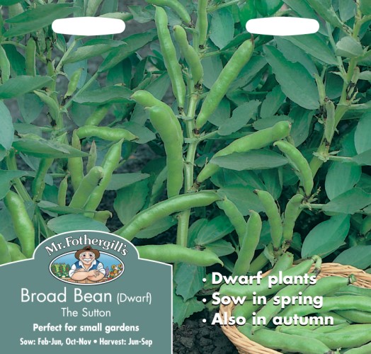 Broad Bean The Sutton Seed - Irish Plants Direct