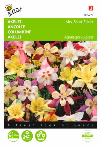 Aquilegia Mrs Scott Elliott Seeds - Irish Plants Direct