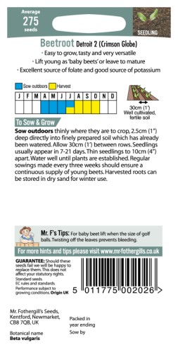 Beetroot Detroit 2 Crimson Globe Seeds - Irish Plants Direct