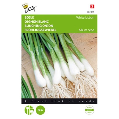 Onion White Lisbon Spring Onion Seed - Irish Plants Direct
