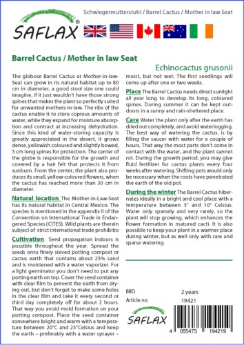 Cactus Barrel Mother In Law Seat Seeds - Irish Plants Direct