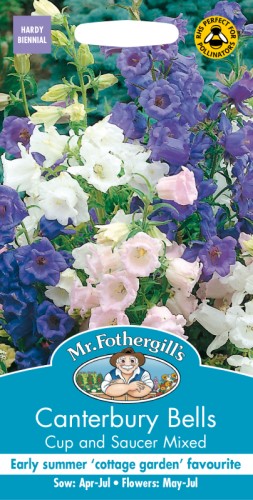 Canterbury Bells Cup And Saucer Seeds - Irish Plants Direct