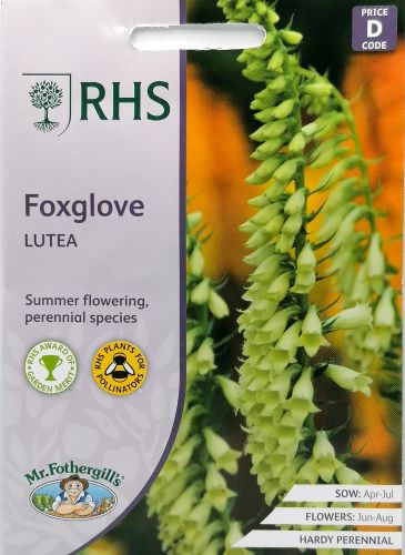 Foxglove Lutea RHS Seeds - Irish Plants Direct