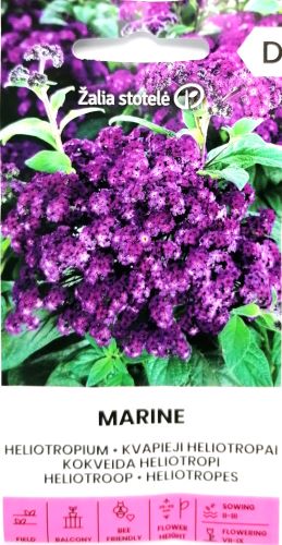 Heliotrope Blue Marine Seeds - Irish Plants Direct