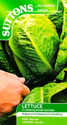 Lettuce Cosberg Sweet Success F1 Seeds - Irish Plants Direct
