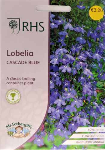 Lobelia Cascade Blue RHS Seeds - Irish Plants Direct