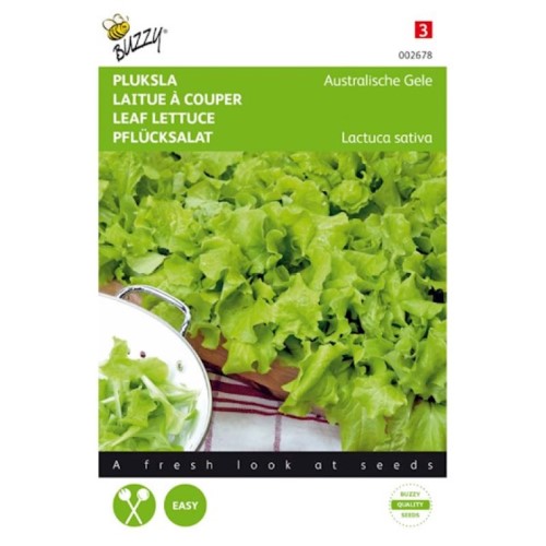 Lettuce Australian Yellow Seeds - Irish Plants Direct