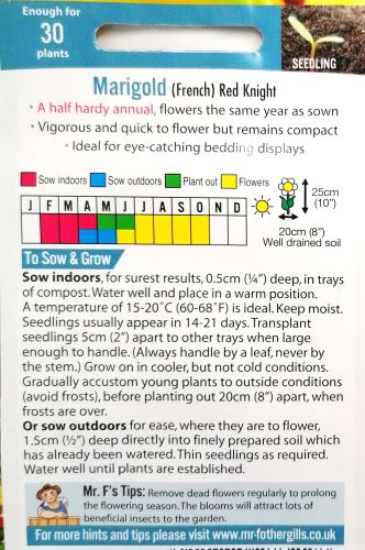 Marigold French Red Knight Seeds - Irish Plants Direct