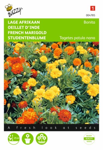 Marigold French Bonita Seeds - Irish Plants Direct