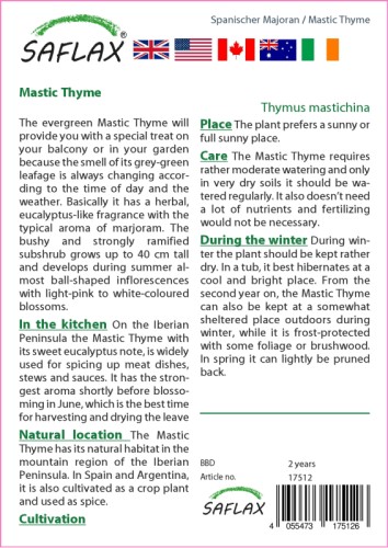 Thyme Mastic Herb Seeds - Irish Plants Direct