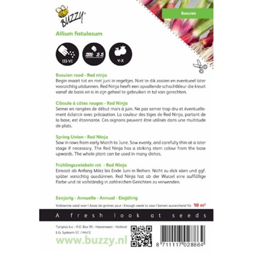 Onion Spring Red Ninja Seeds - Irish Plants Direct