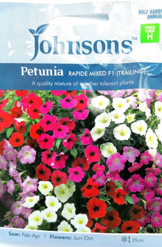 Petunia Rapide Mix F1 Trailing Seed - Irish Plants Direct