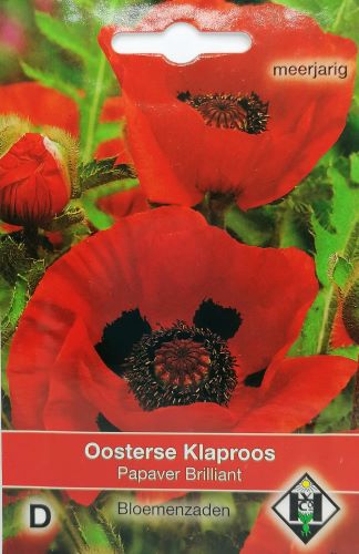 Poppy Orientale Brilliant Seeds - Irish Plants Direct