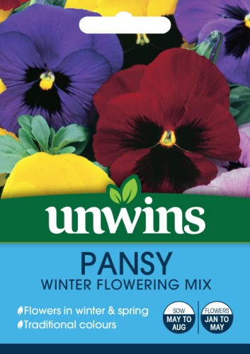Pansy Winter Flowering Seeds - Irish Plants Direct