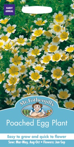 Poached Egg Plant Seed - Irish Plants Direct