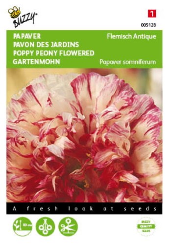 Poppy Peony Flemish Antique Seeds - Irish Plants Direct