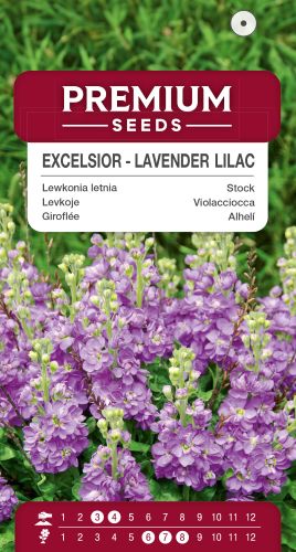 Stock Excelsior Lavender Lilac Seeds - Irish Plants Direct