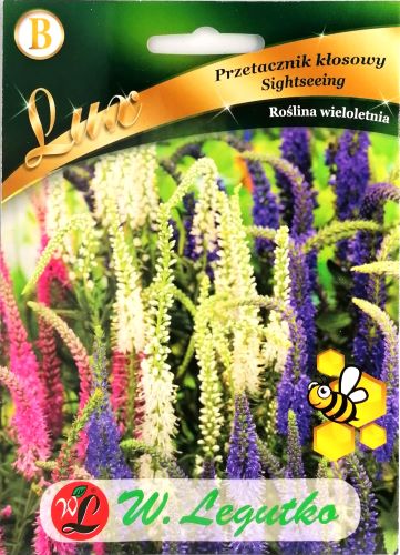 Veronica Sightseeing Seeds - Irish Plants Direct
