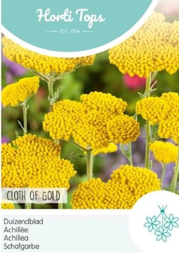 Achillea Cloth Of Gold Seeds - Irish Plants Direct