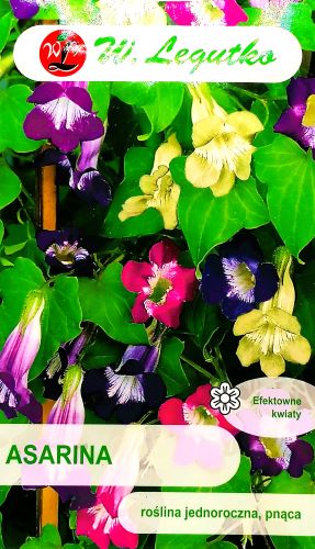 Asarina Mixture Seed - Irish Plants Direct