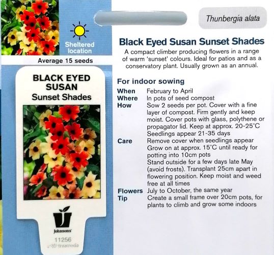 Black Eyed Susan Sunset Shades Seeds - Irish Plants Direct