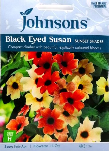 Black Eyed Susan Sunset Shades Seeds - Irish Plants Direct