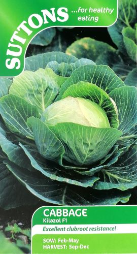Cabbage Kilazol F1 Seeds - Irish Plants Direct