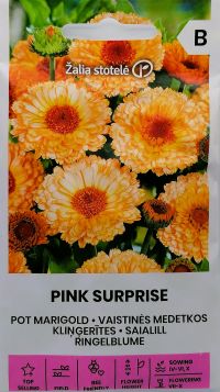 Pot Marigold Pink Surprise Seeds | Tall Peach Pink Summer Blooms ...