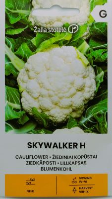 Cauliflower Skywalker f1 Hybrid Seeds Deep White Curds - Irish Plants ...