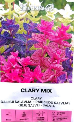 Clary Mix Seeds - Irish Plants Direct