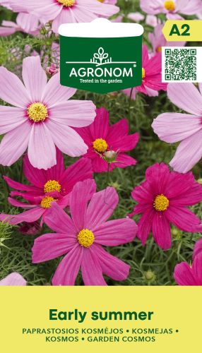Garden Cosmos Early Summer Seeds for Tall Summer Blooms - Irish Plants ...