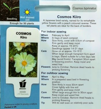 Cosmos Kirro Seeds - Irish Plants Direct