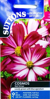 Cosmos Sensation Tall Mix Seeds - Irish Plants Direct