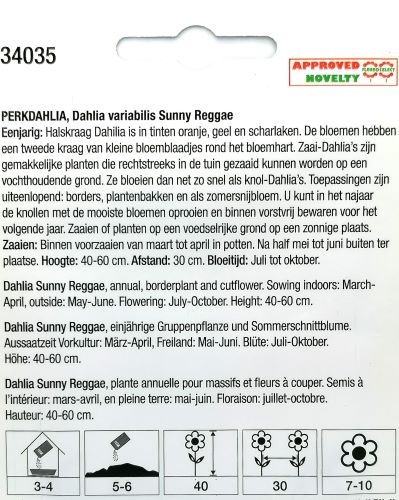 Dahlia Sunny Reggae Seeds - Irish Plants Direct