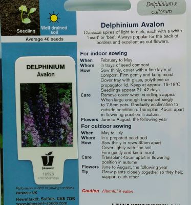 Delphinium Avalon Seeds - Irish Plants Direct