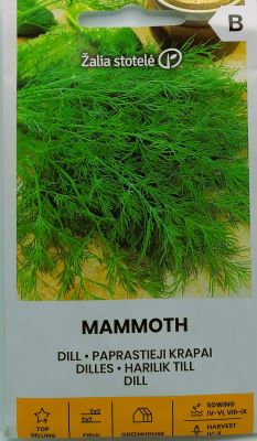 Dill Mammoth Herb Seeds - Irish Plants Direct