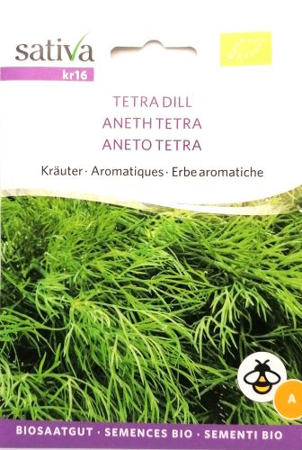 Dill Tetra ORGANIC Herb Seeds - Irish Plants Direct