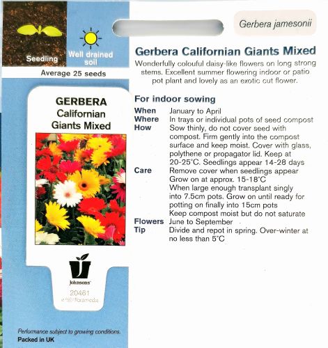 Gerbera California Giants Mix Seeds - Irish Plants Direct