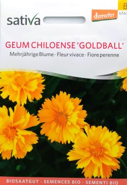 Geum Chiloense Goldball ORGANIC Seeds - Irish Plants Direct
