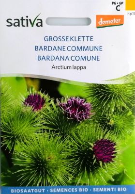Greater Burdock ORGANIC Seeds - Irish Plants Direct