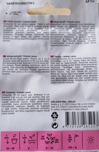 Marigold African Calando Lemon Seeds - Irish Plants Direct