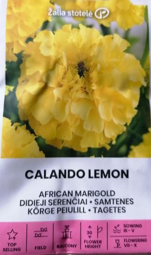 Marigold African Calando Lemon Seeds - Irish Plants Direct
