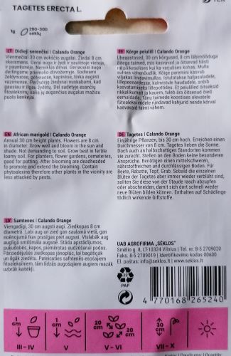 Marigold African Calando Orange Seeds - Irish Plants Direct