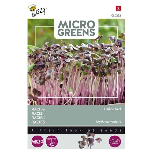 Microgreens Radish Red Daikon Seeds - Irish Plants Direct