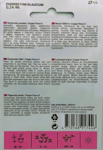 Ornamental Millet Copper Prince F1 Grass Seeds - Irish Plants Direct