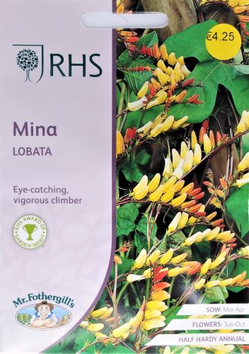 Mina Lobata RHS RHS Seeds - Irish Plants Direct