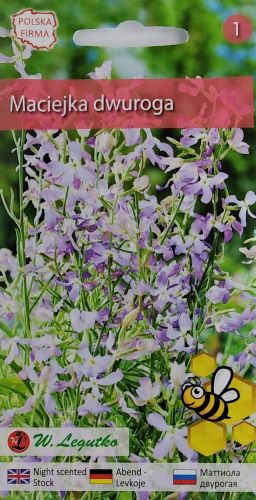 Night Scented Stock Pink Seeds - Irish Plants Direct