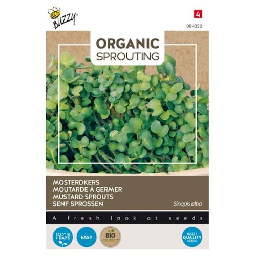 Sprouting Mustard Sprouts ORGANIC Seeds - Irish Plants Direct