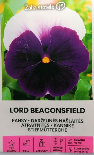 Pansy Lord Beaconsfield Seeds - Irish Plants Direct