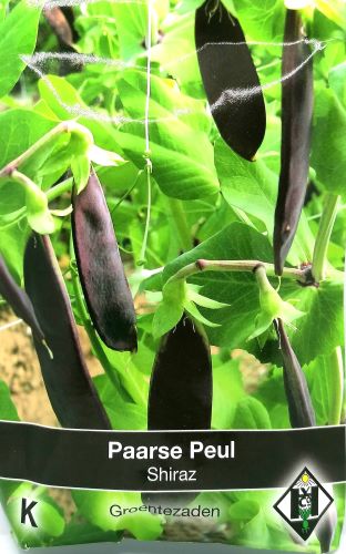Pea Sugar Shiraz Seeds - Irish Plants Direct